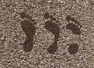 Mastering the Wet Test: A Simple Guide to Gait Analysis for Runners ...