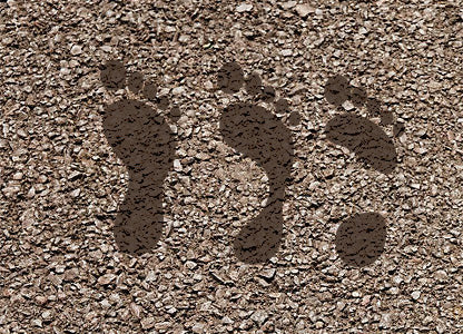 Mastering the Wet Test: A Simple Guide to Gait Analysis for Runners ...